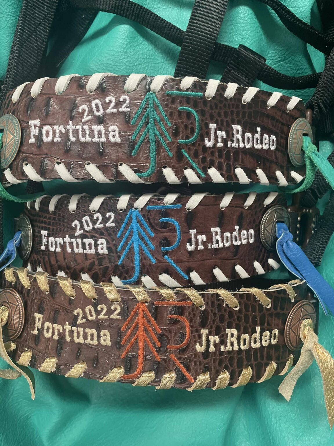 Events from July 16, 2024 – July 20 | Fortuna Rodeo